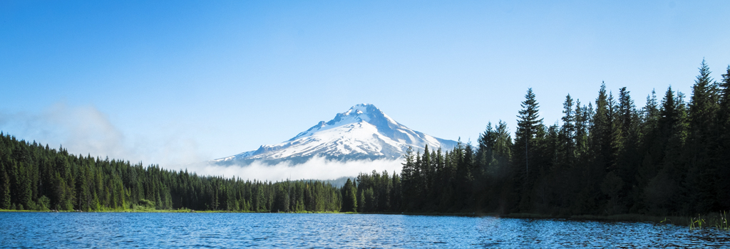 Salish Networking || Home